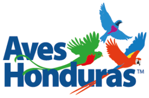 Inicio - Aves Honduras