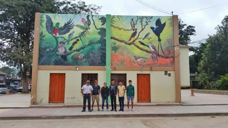 Club de Observación de Aves de la Sierra Lenca - Aves Honduras