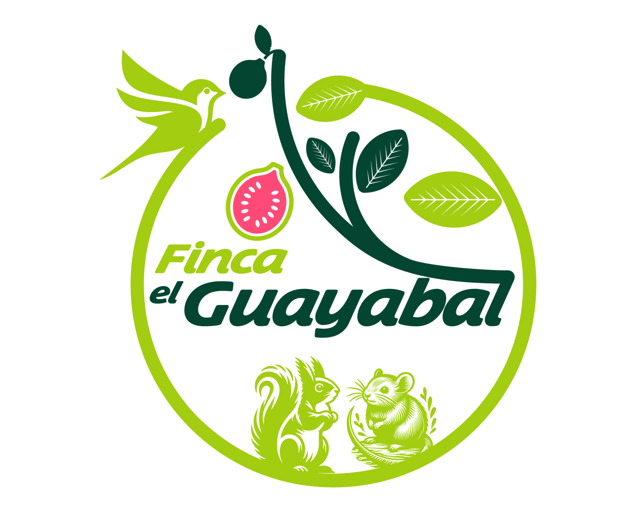 Santuario Aves Honduras Finca el Guayabal - Aves Honduras