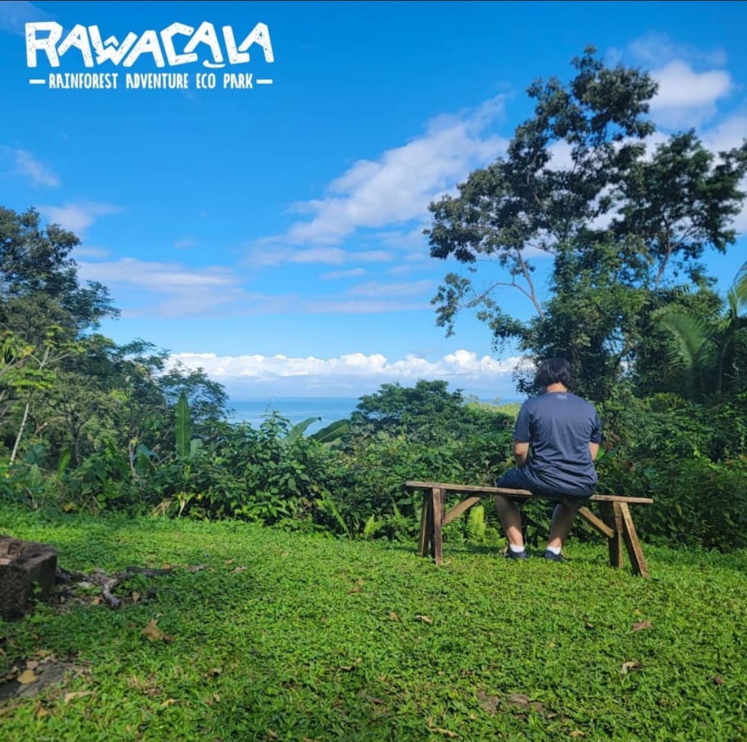 Santuario Aves Honduras Rawacala - Aves Honduras