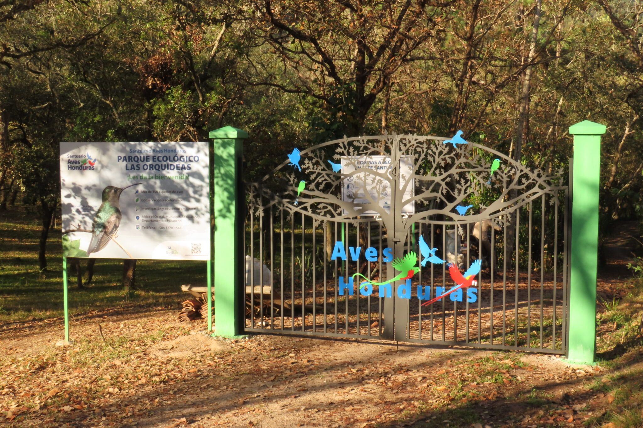 Se inaugura el Santuario Aves Honduras Las Orquídeas con su primera ...